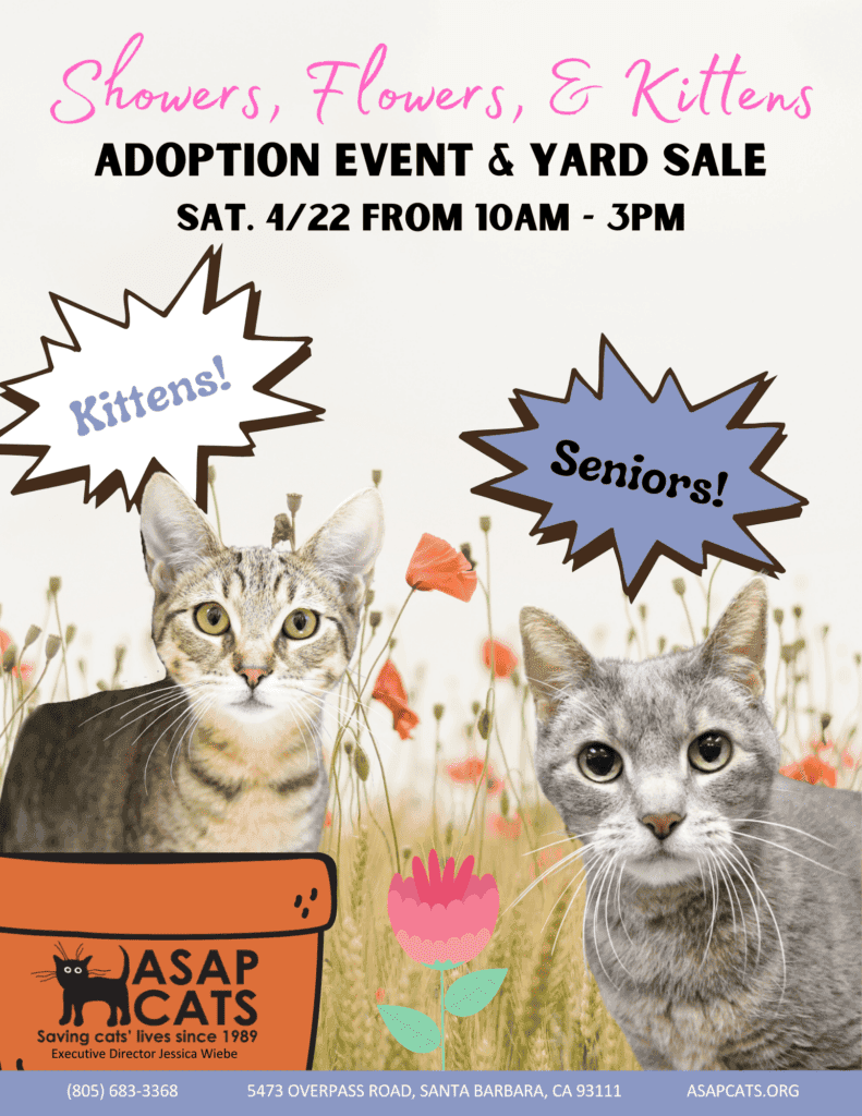 Upcoming Events - ASAP Cats